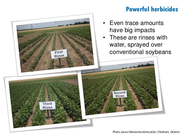 Learning to spray again