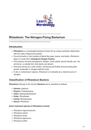 Rhizobium The Nitrogen-Fixing Bacterium.pdf