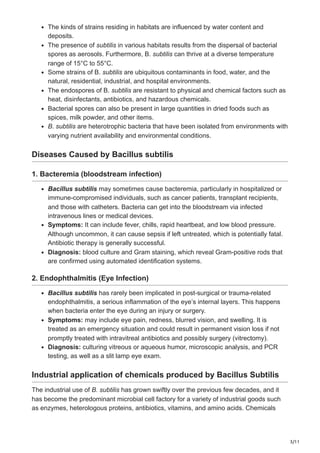 Bacillus subtilis Morphology Habitat Diseases and Industrial ...