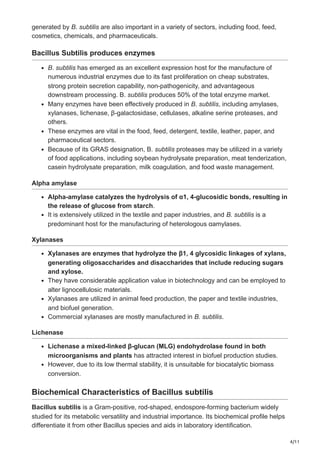 Bacillus subtilis Morphology Habitat Diseases and Industrial ...