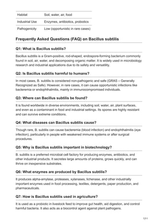 Bacillus subtilis Morphology Habitat Diseases and Industrial ...