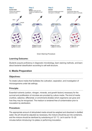 Microbiology Experiments for Students_ A Complete Guide | PDF