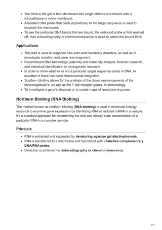 Molecular Blotting: Techniques, Uses, and Significance | PDF