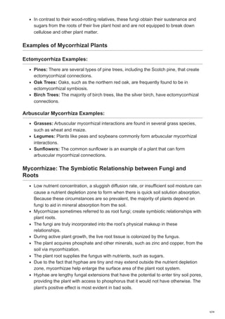 Mycorrhiza: Structure, Types, and Role in Plant Growth | PDF