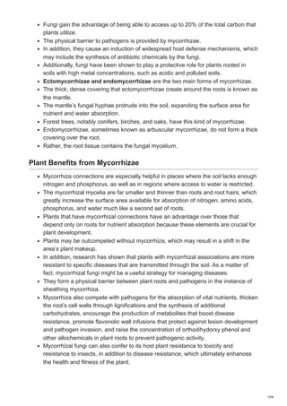 Mycorrhiza: Structure, Types, and Role in Plant Growth | PDF
