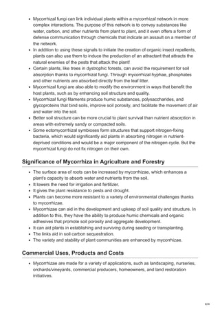 Mycorrhiza: Structure, Types, and Role in Plant Growth | PDF