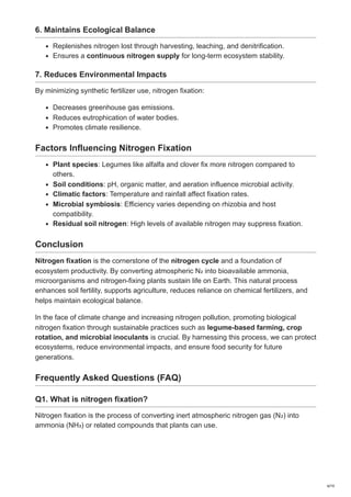Nitrogen Fixation and Its Importance in the Ecosystem | PDF