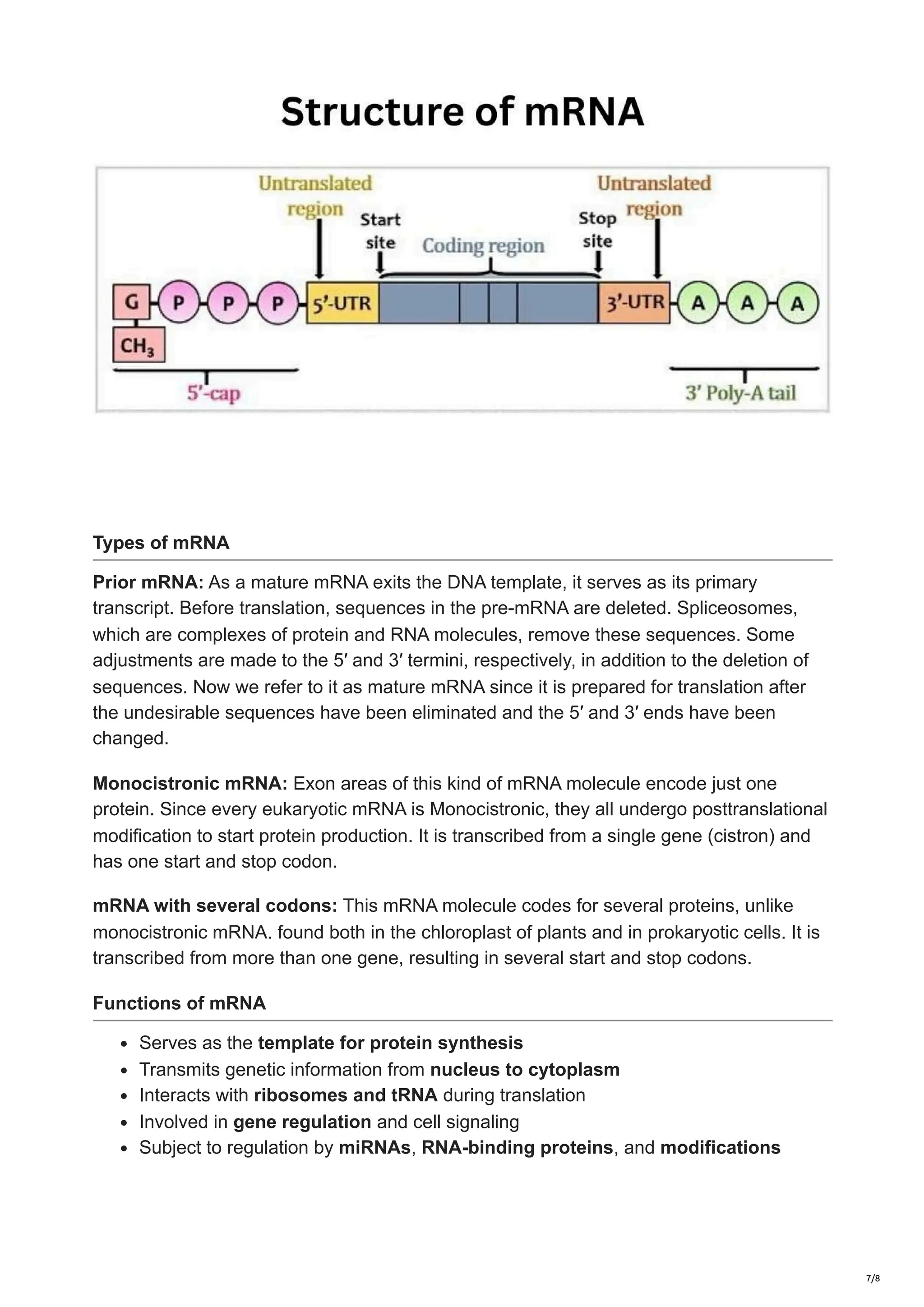 Ribonucleic acid (RNA): Types, Structure & their Function | PDF