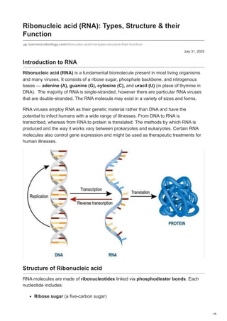 Ribonucleic acid (RNA): Types, Structure & their Function | PDF