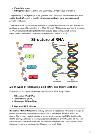 Ribonucleic acid (RNA): Types, Structure & their Function | PDF