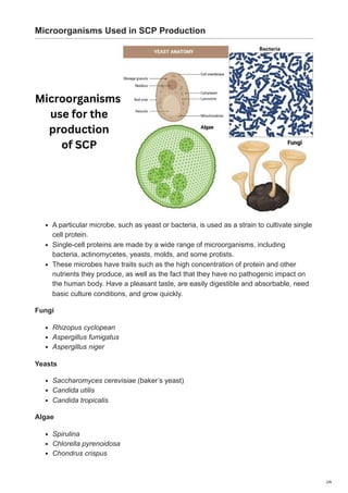 learnmicrobiology.com-Single Cell Protein (SCP): Sources, Production ...