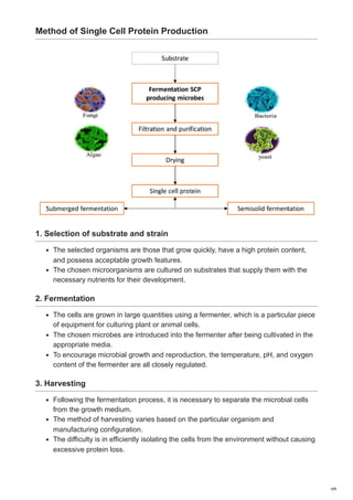 learnmicrobiology.com-Single Cell Protein (SCP): Sources, Production ...