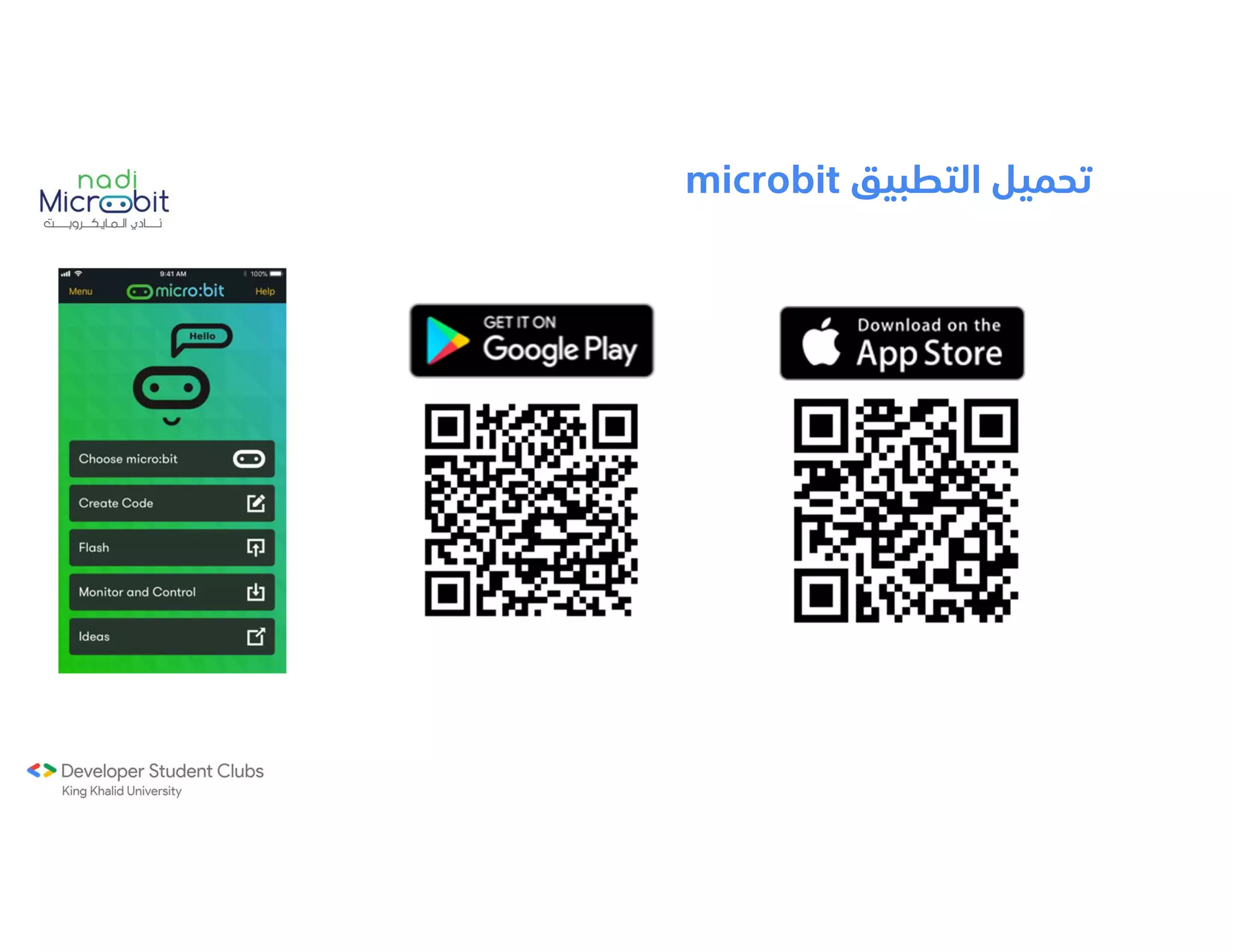 Learn Microbit Programming | PDF