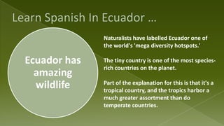 Learn Spanish in Ecuador | PPT