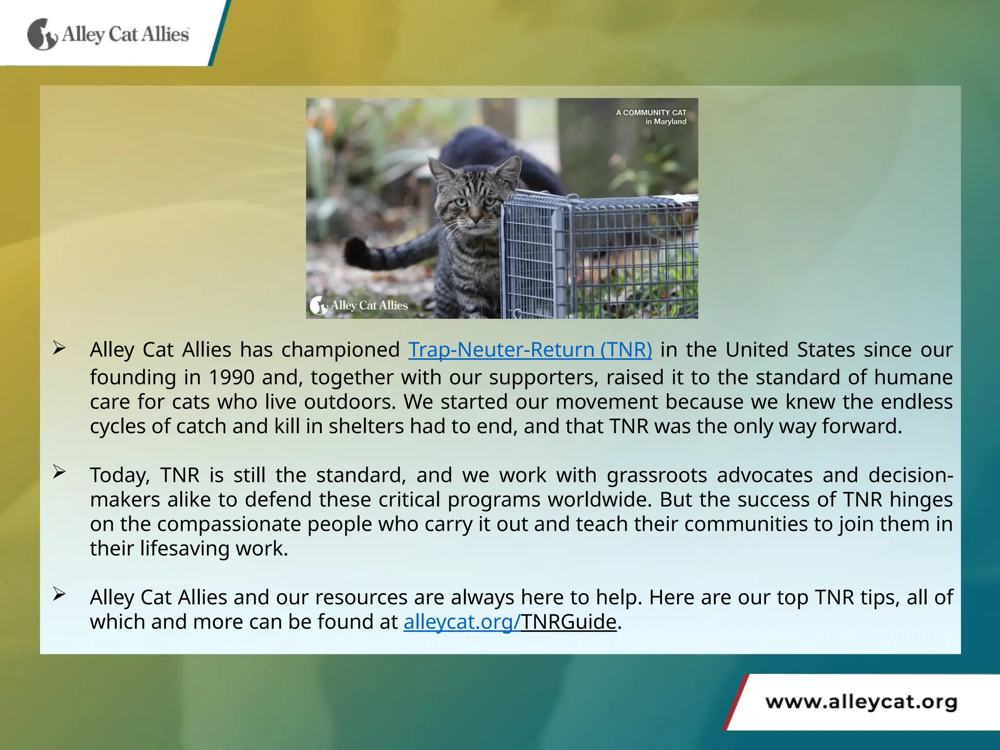 Learn the top TNR tips - Alley Cat Allies | PPTX