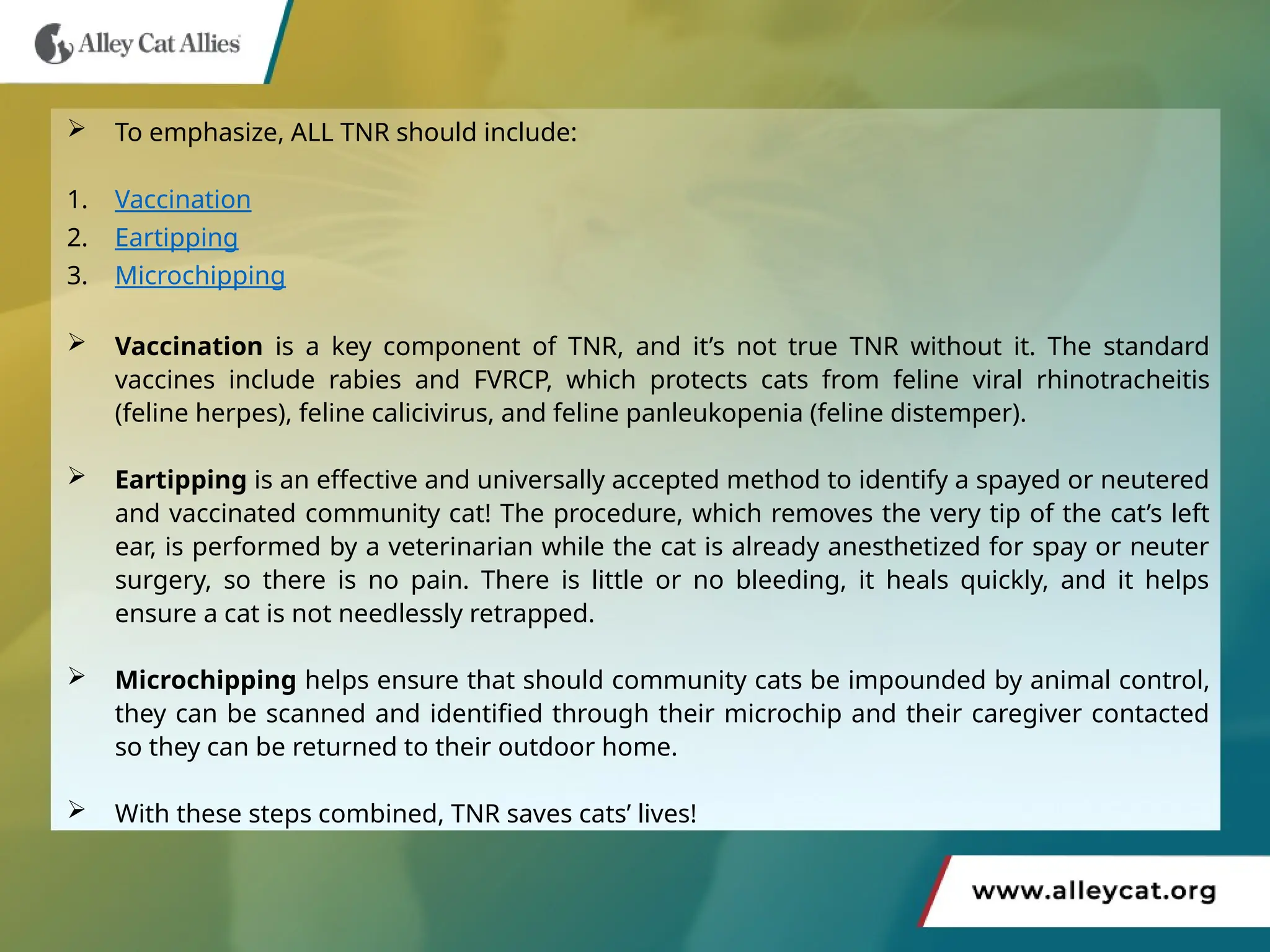 Learn the top TNR tips - Alley Cat Allies | PPTX