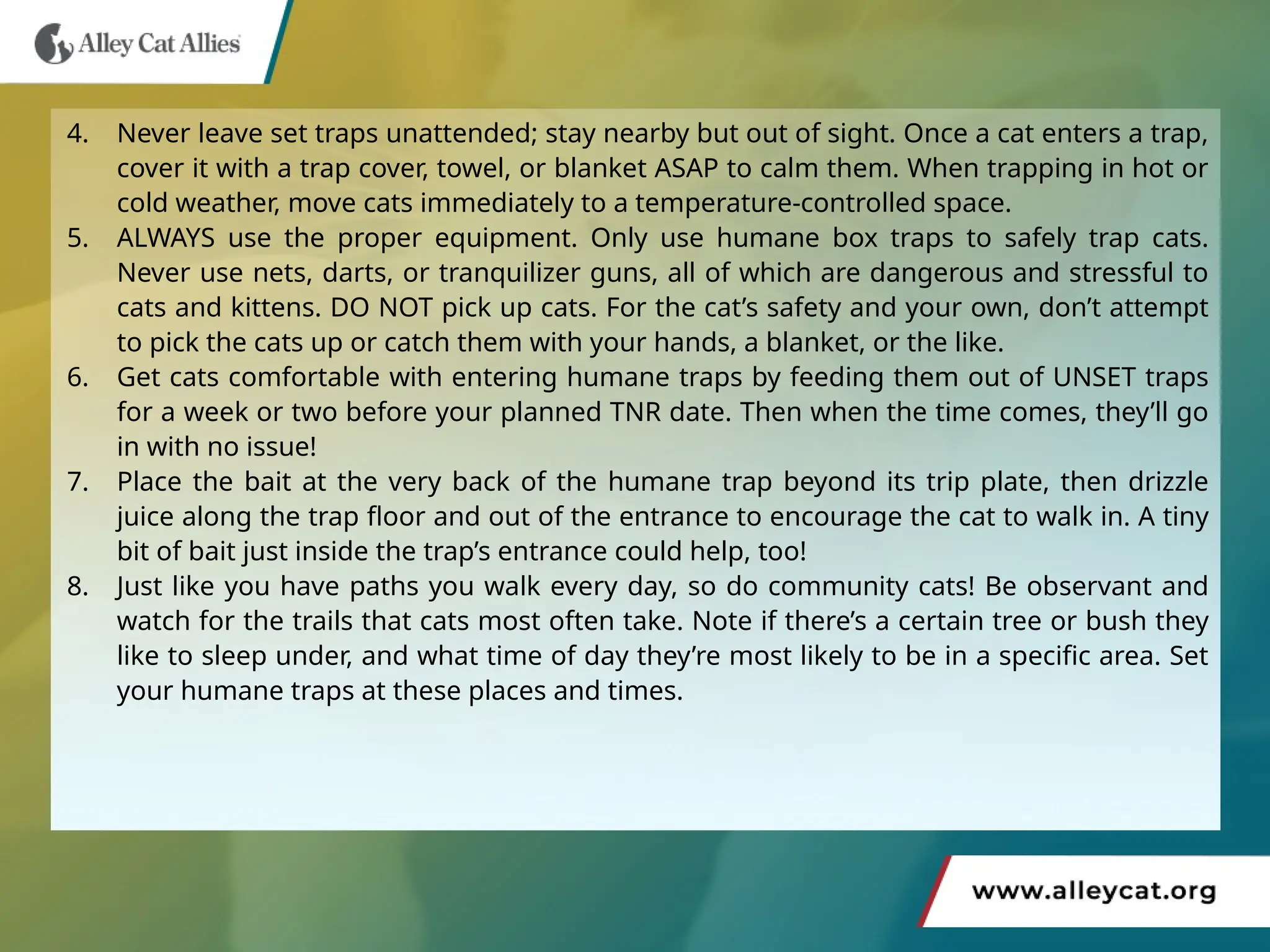 Learn the top TNR tips - Alley Cat Allies | PPTX