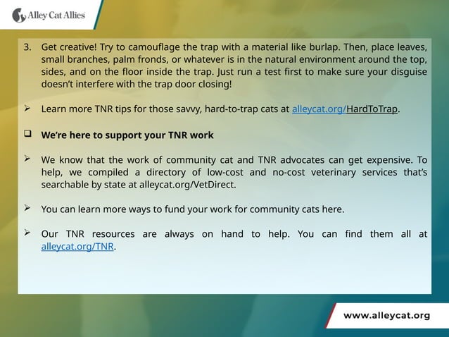 Learn the top TNR tips - Alley Cat Allies | PPTX | Cats | Pets