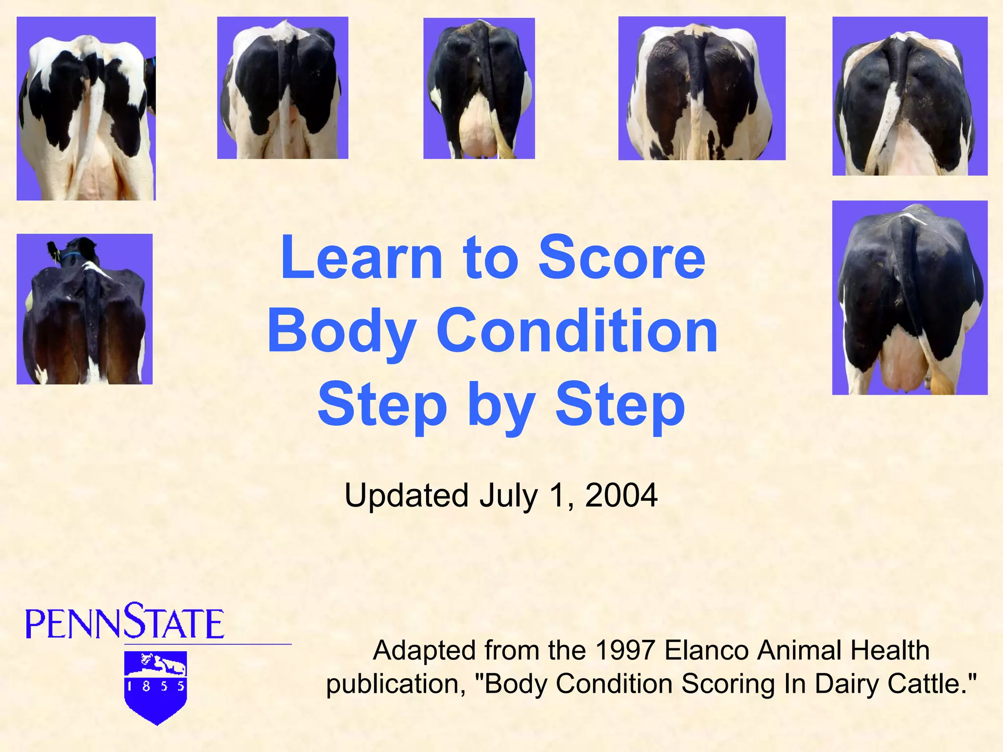 Learn to Score Body Condition for Dairy Cows | PPT