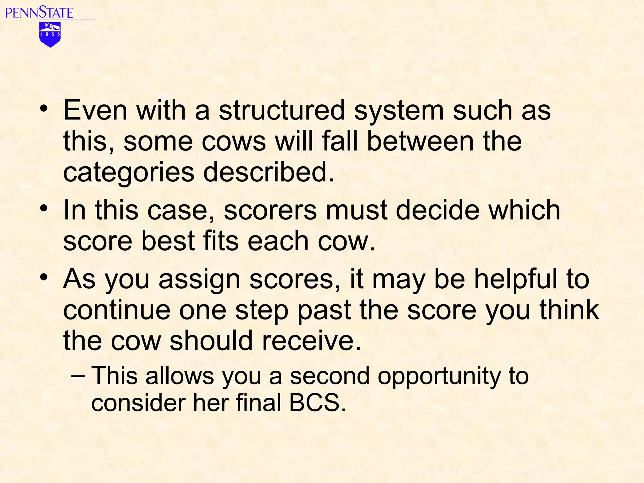 Learn to Score Body Condition for Dairy Cows | PPT