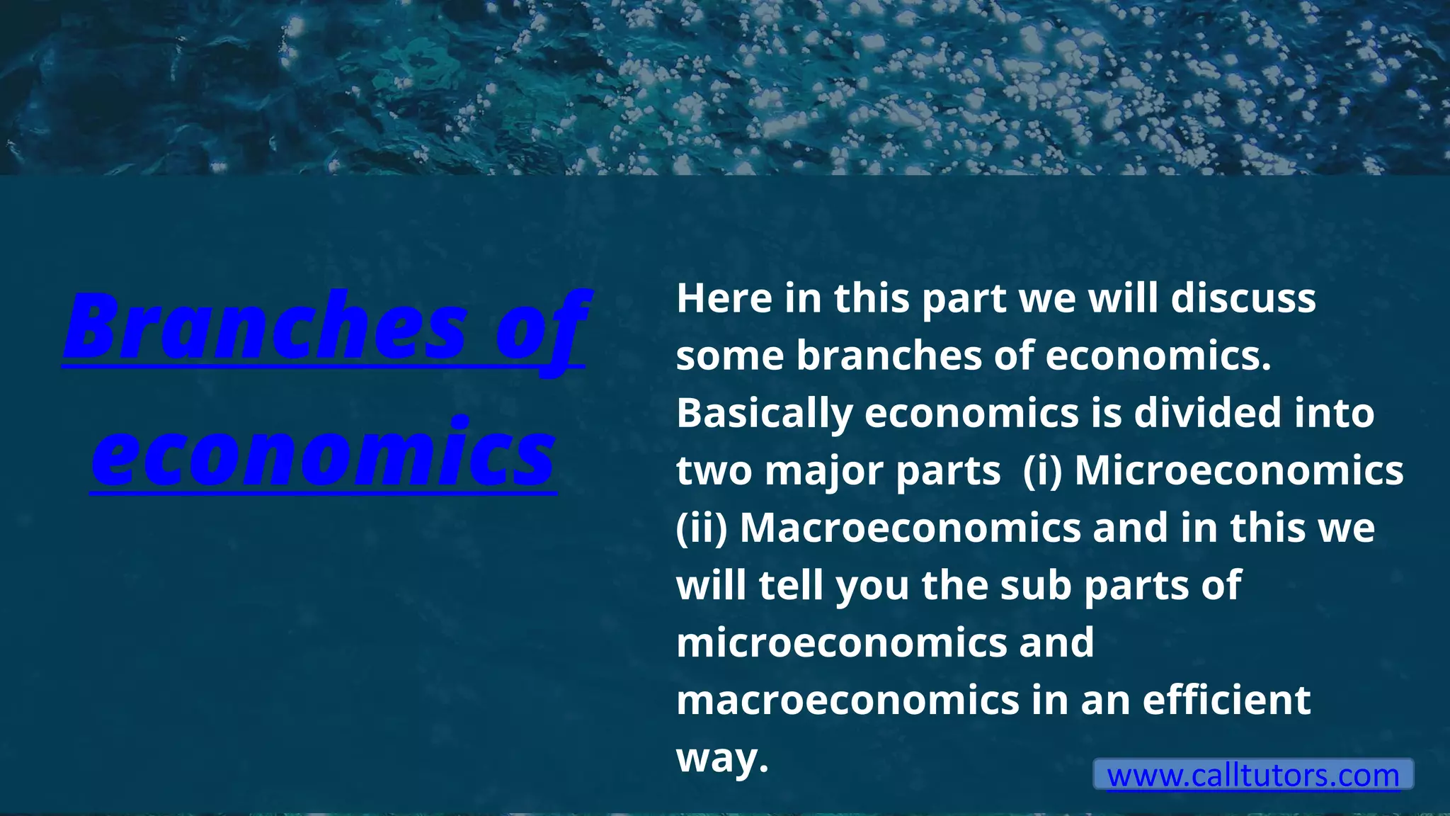 Learn what are the branches of economics | PPTX