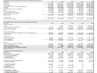 Leash me financial slides v2 | PPT