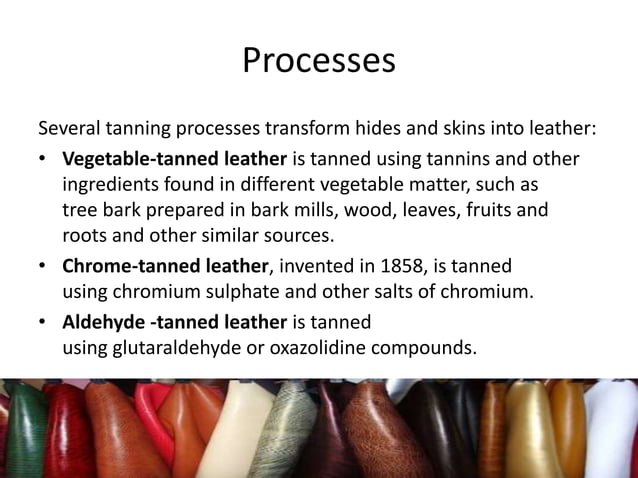 Leather | PPTX | Fashion Trends | Style & Fashion