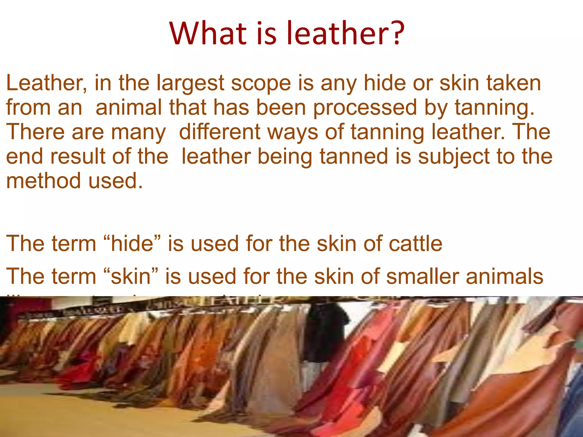 Leather-Industry-Presentation.ppt