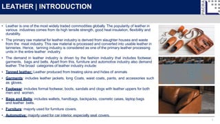 leather (1).pptx