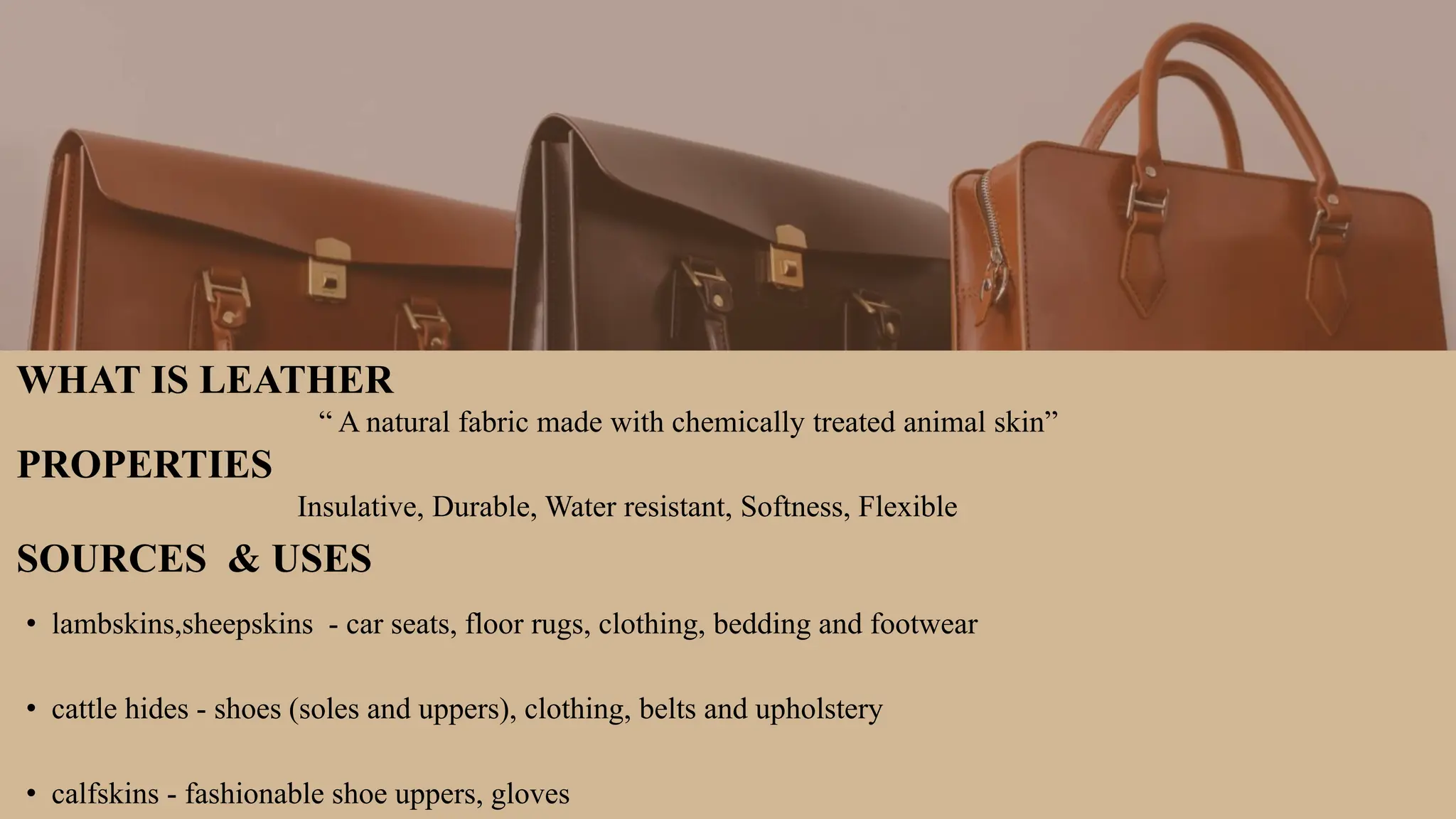 LEATHER INDUSTRY.pptx