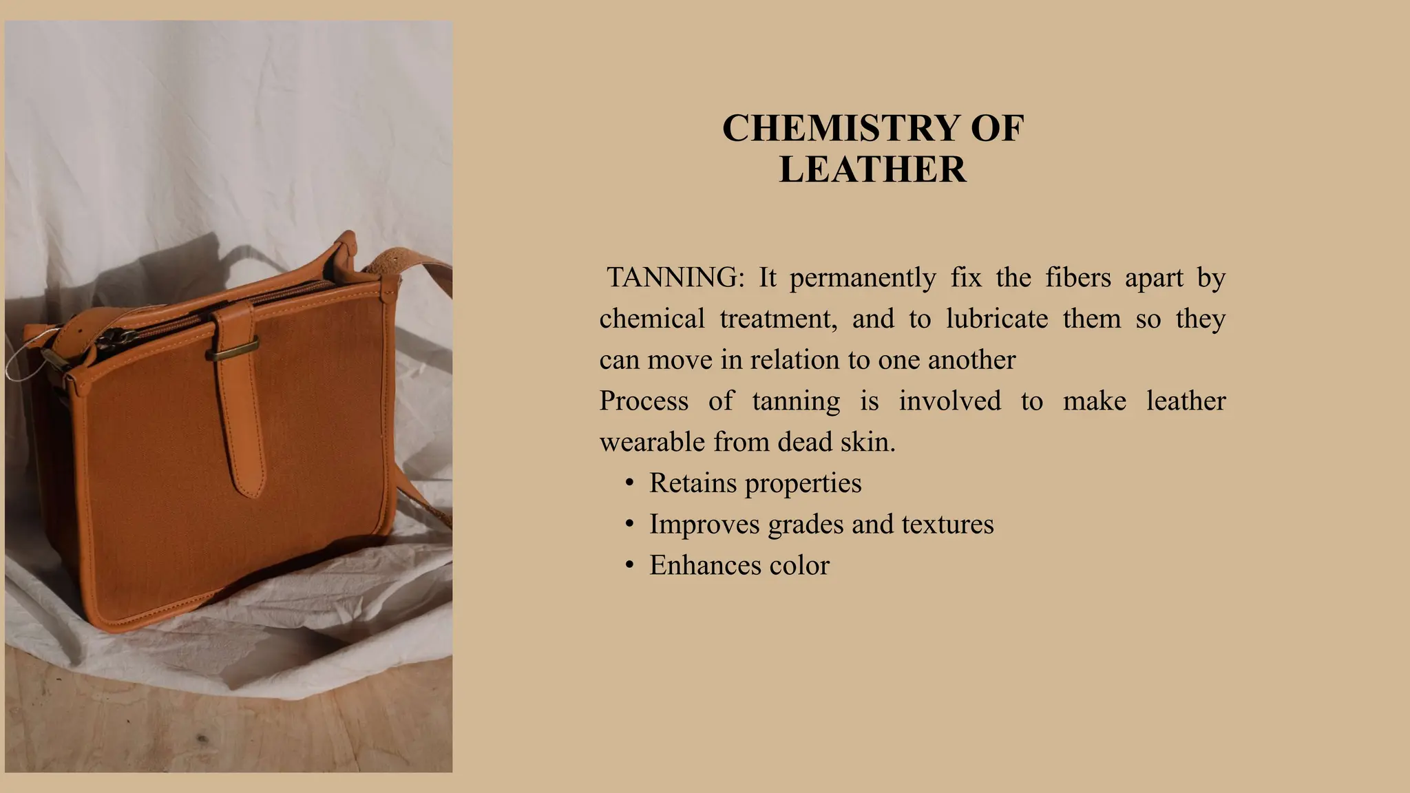 LEATHER INDUSTRY.pptx