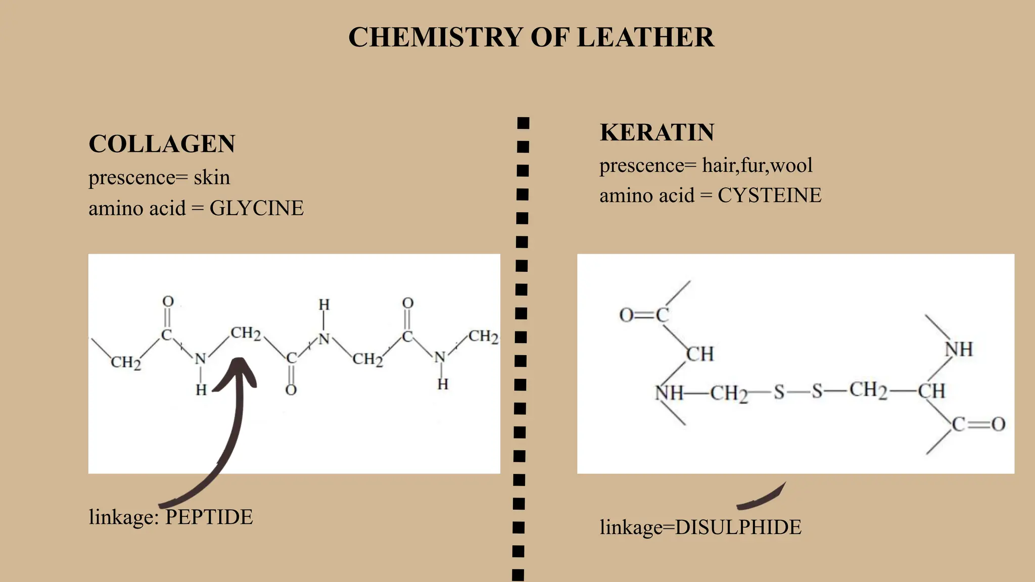LEATHER INDUSTRY.pptx