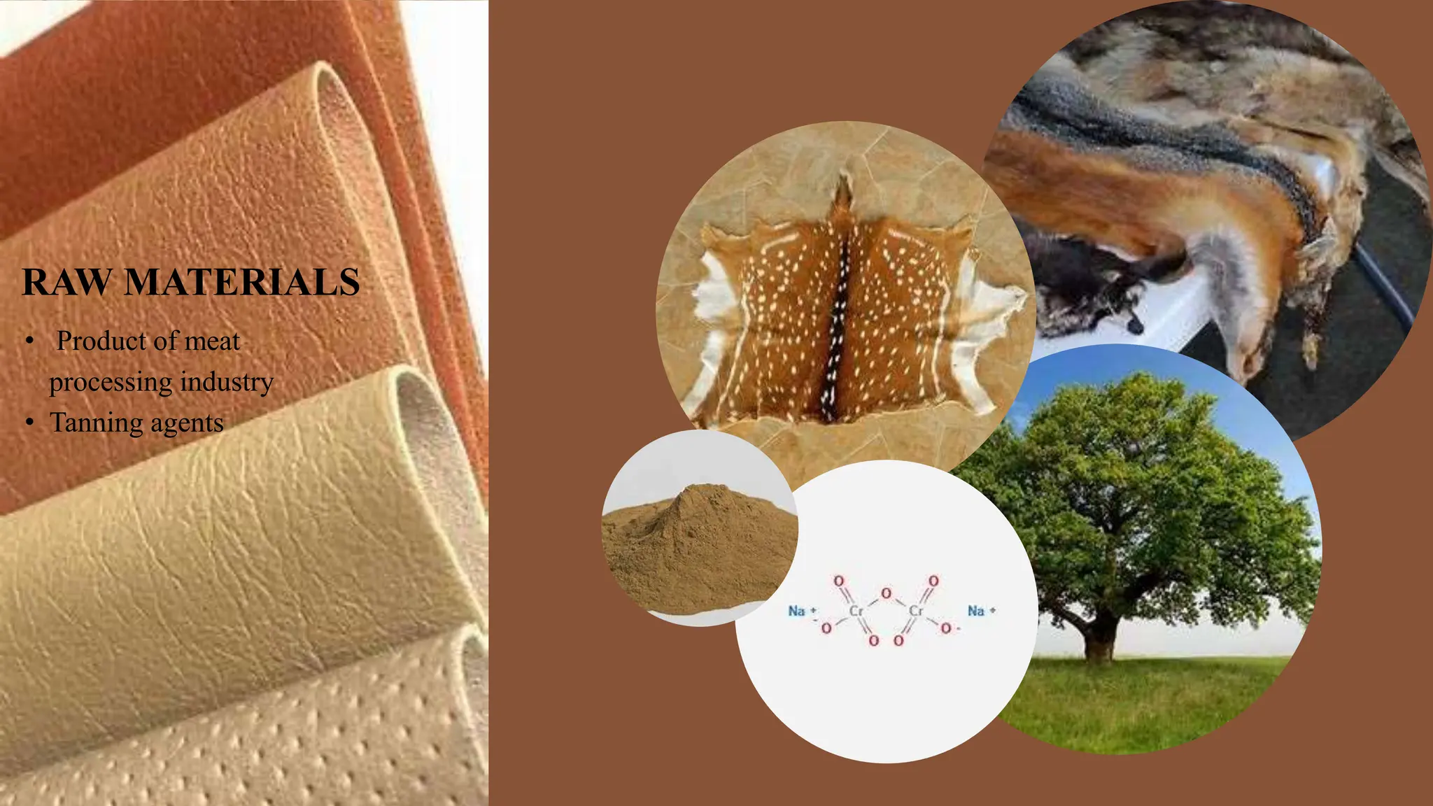 LEATHER INDUSTRY.pptx