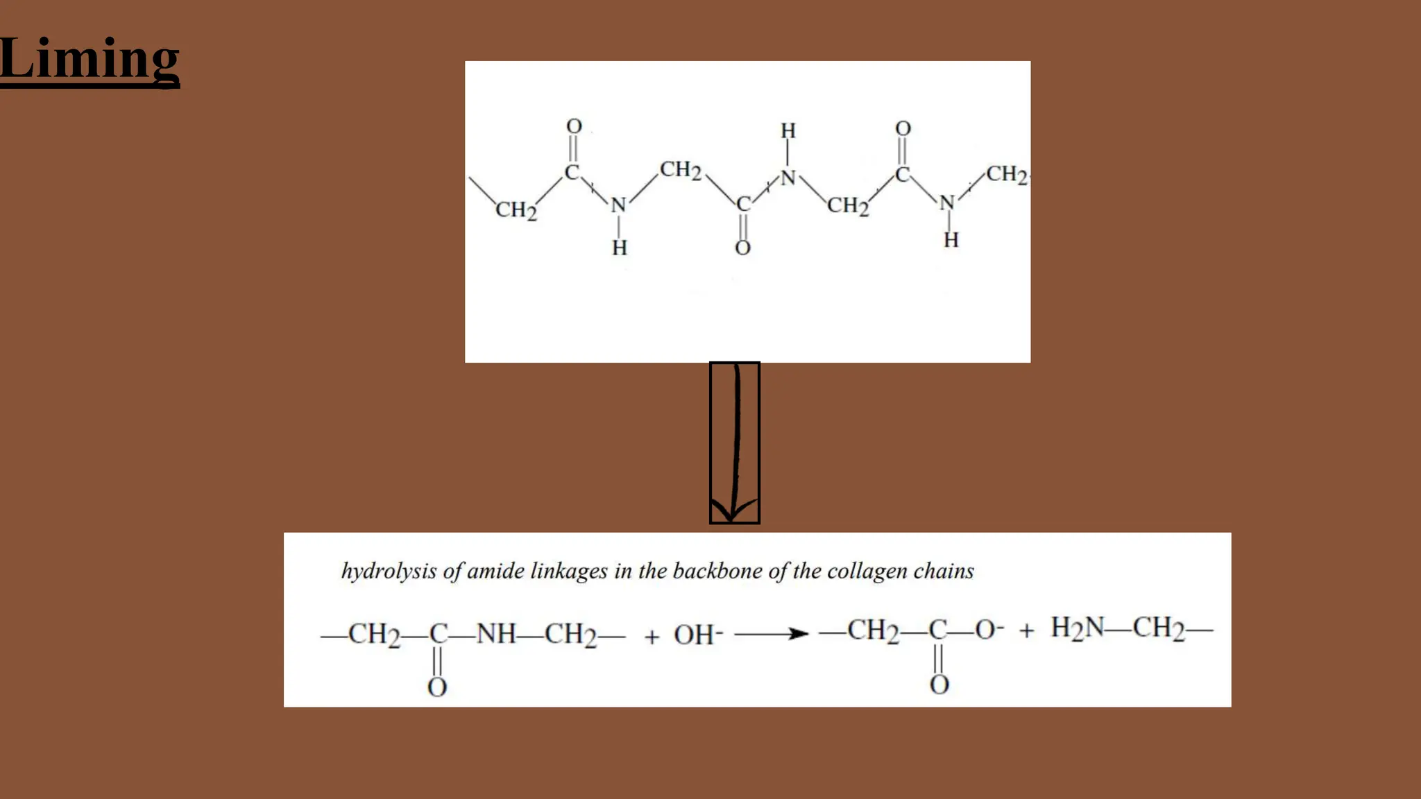 LEATHER INDUSTRY.pptx