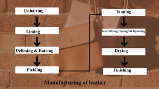 LEATHER INDUSTRY.pptx