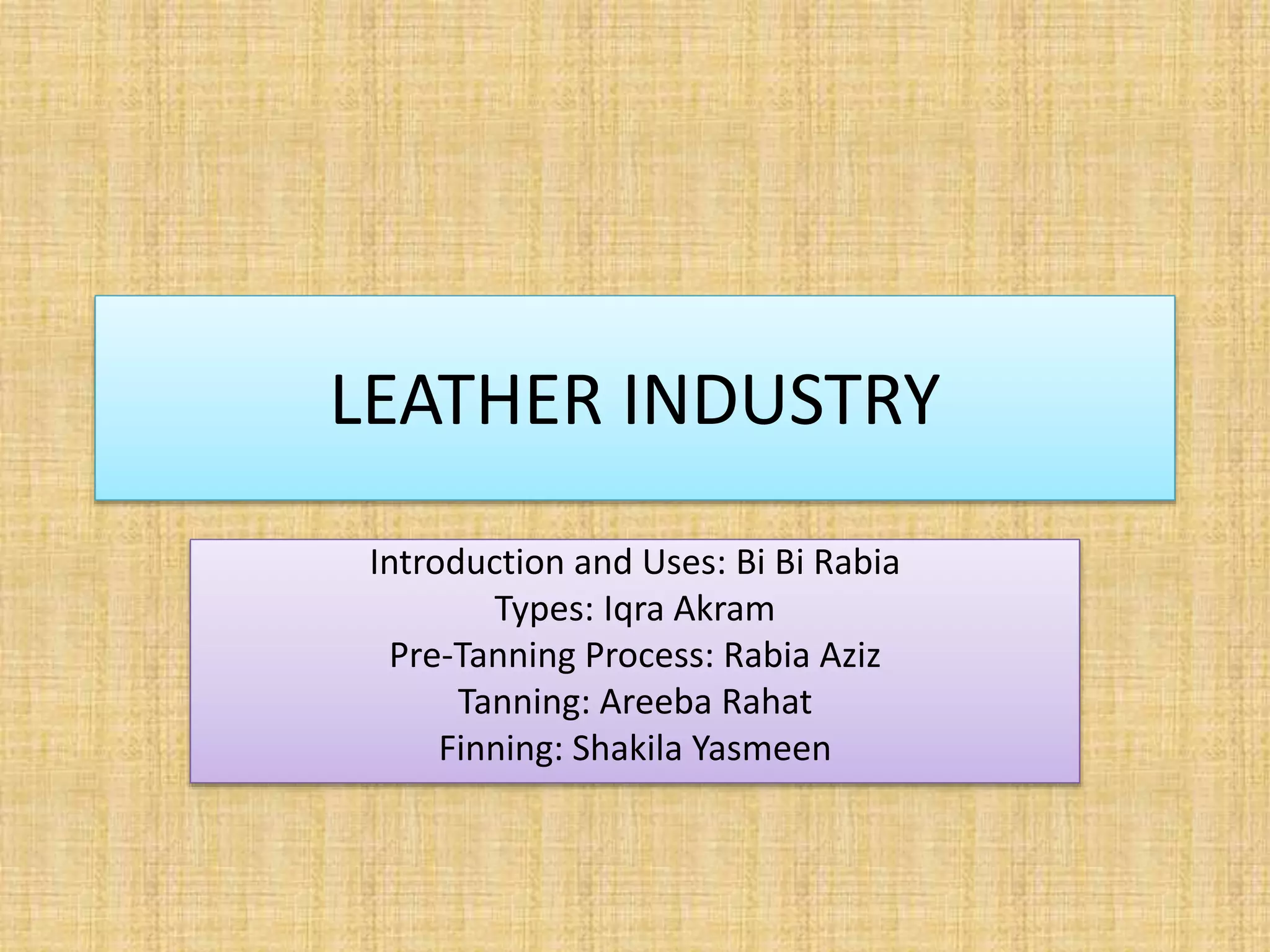 Leather Industry | Applied Chemistry | PPTX