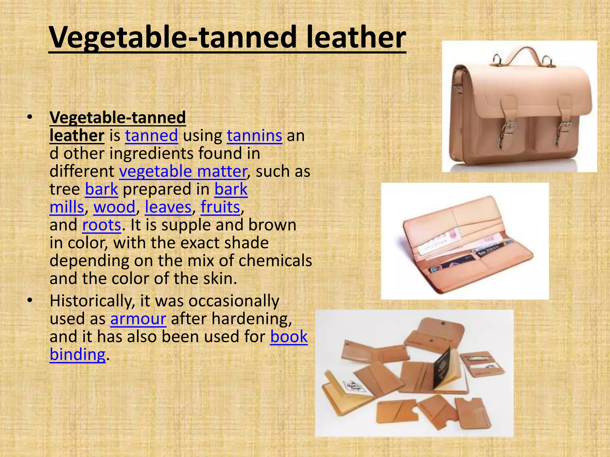 Leather Industry | Applied Chemistry | PPTX