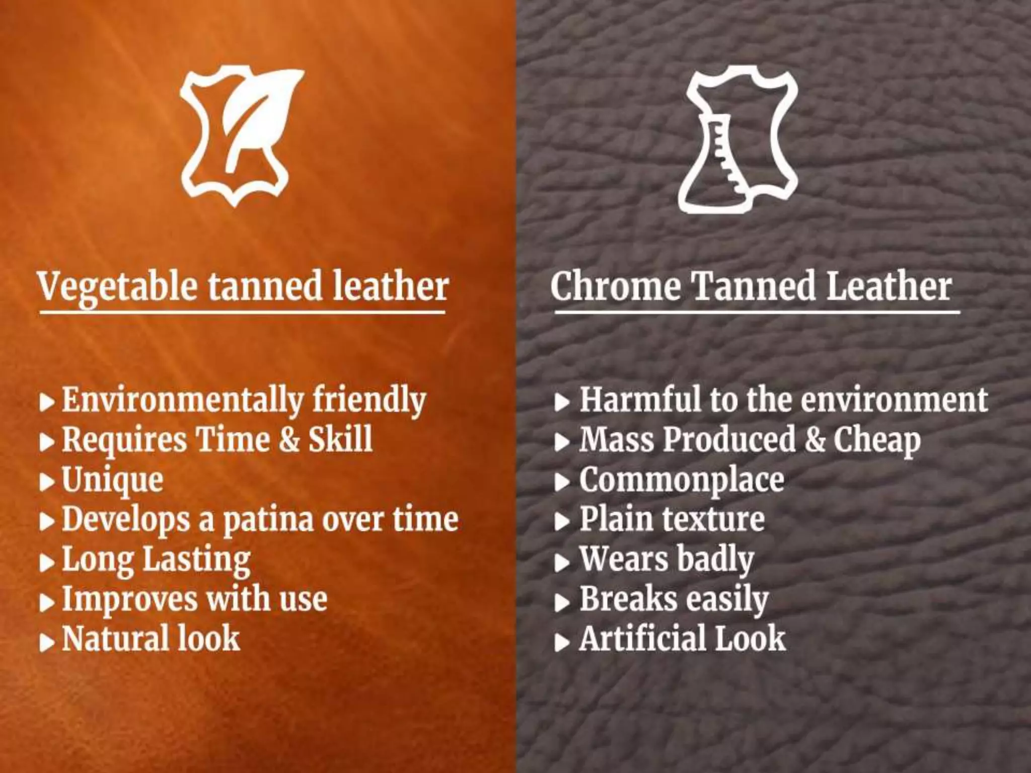 Leather Industry | Applied Chemistry | PPTX