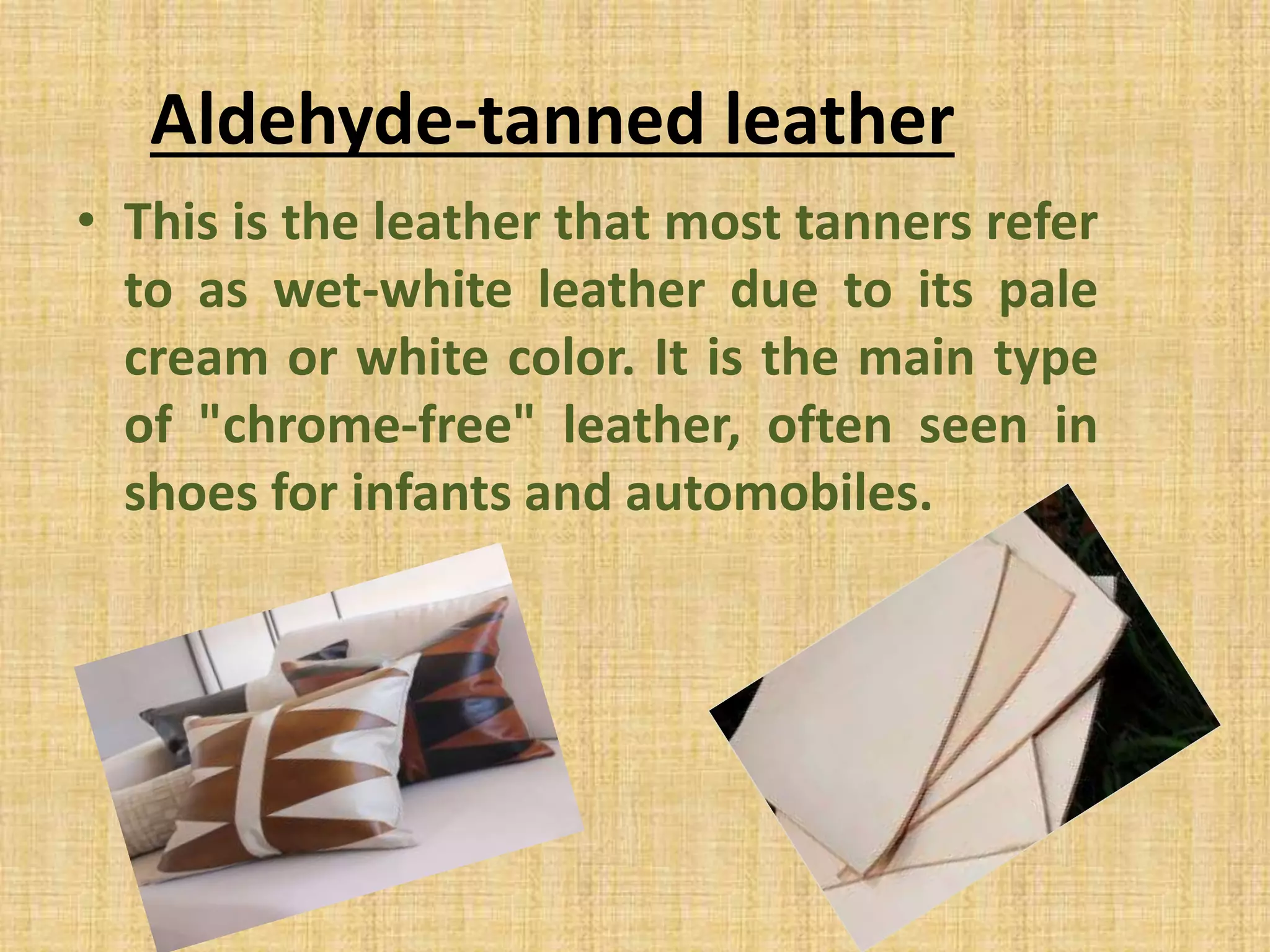 Leather Industry | Applied Chemistry | PPTX