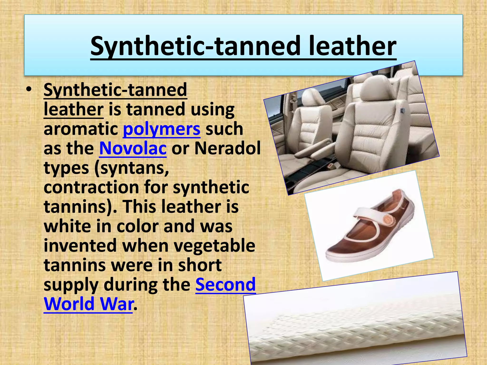 Leather Industry | Applied Chemistry | PPTX