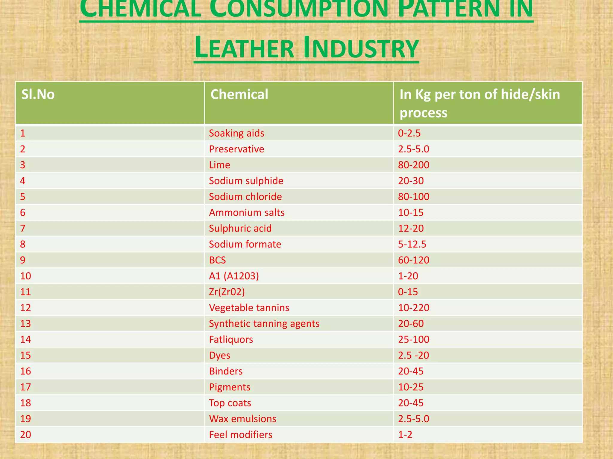 Leather Industry | Applied Chemistry | PPTX