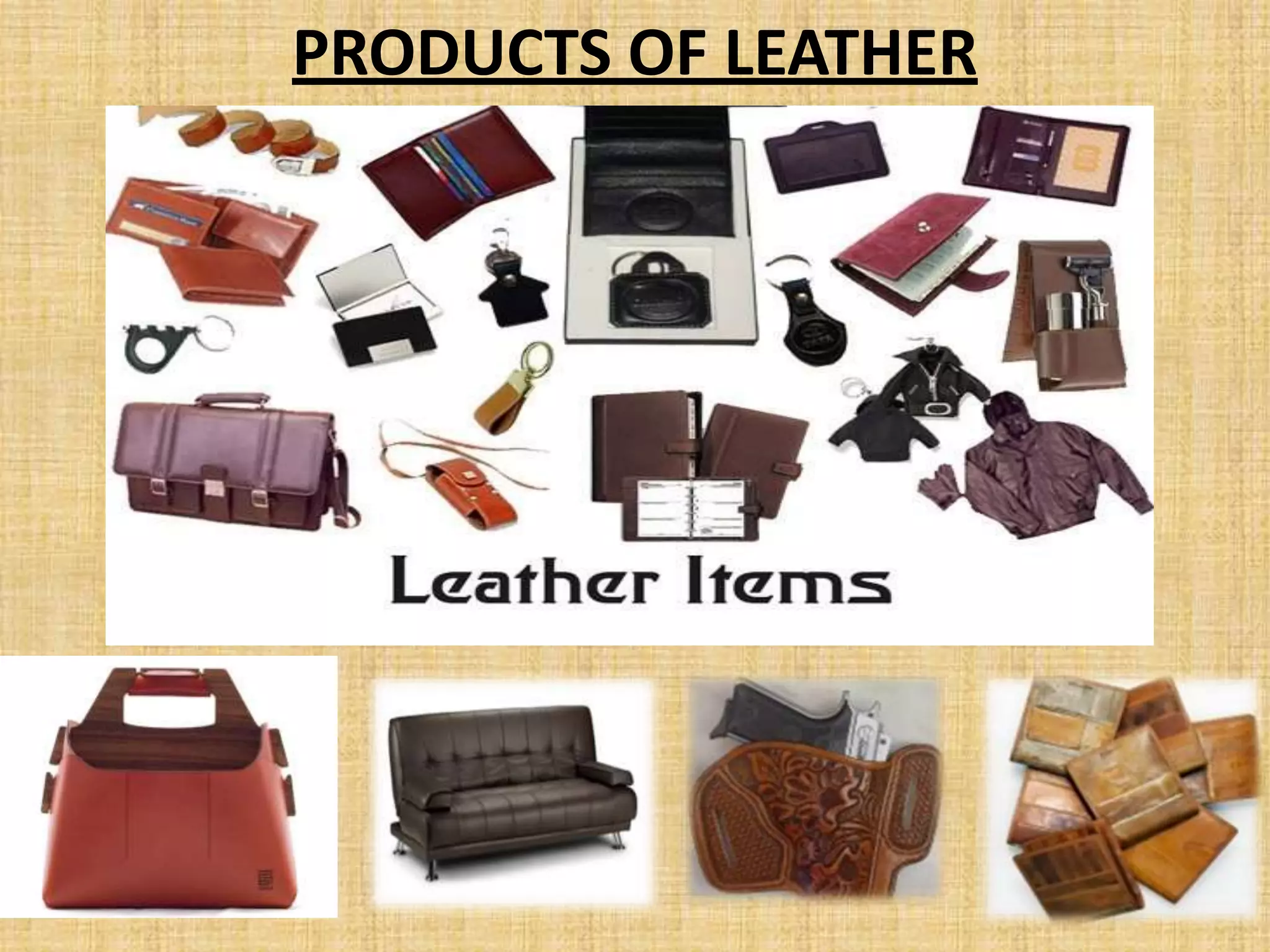 Leather Industry | Applied Chemistry | PPTX