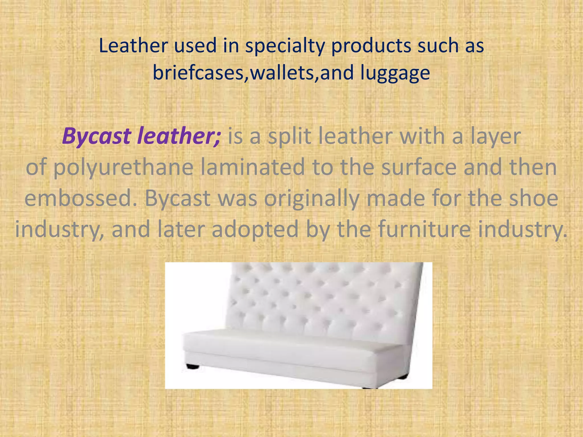 Leather Industry | Applied Chemistry | PPTX