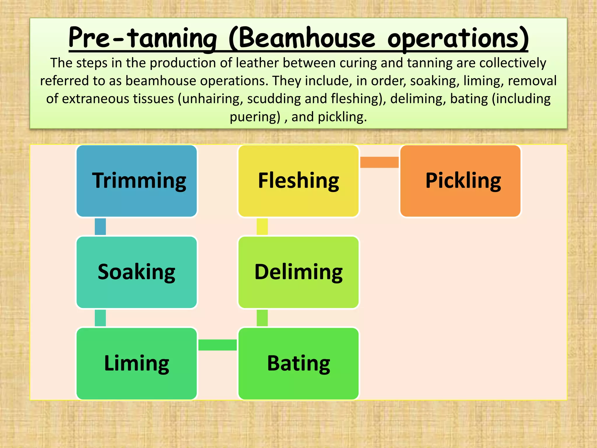 Leather Industry | Applied Chemistry | PPTX