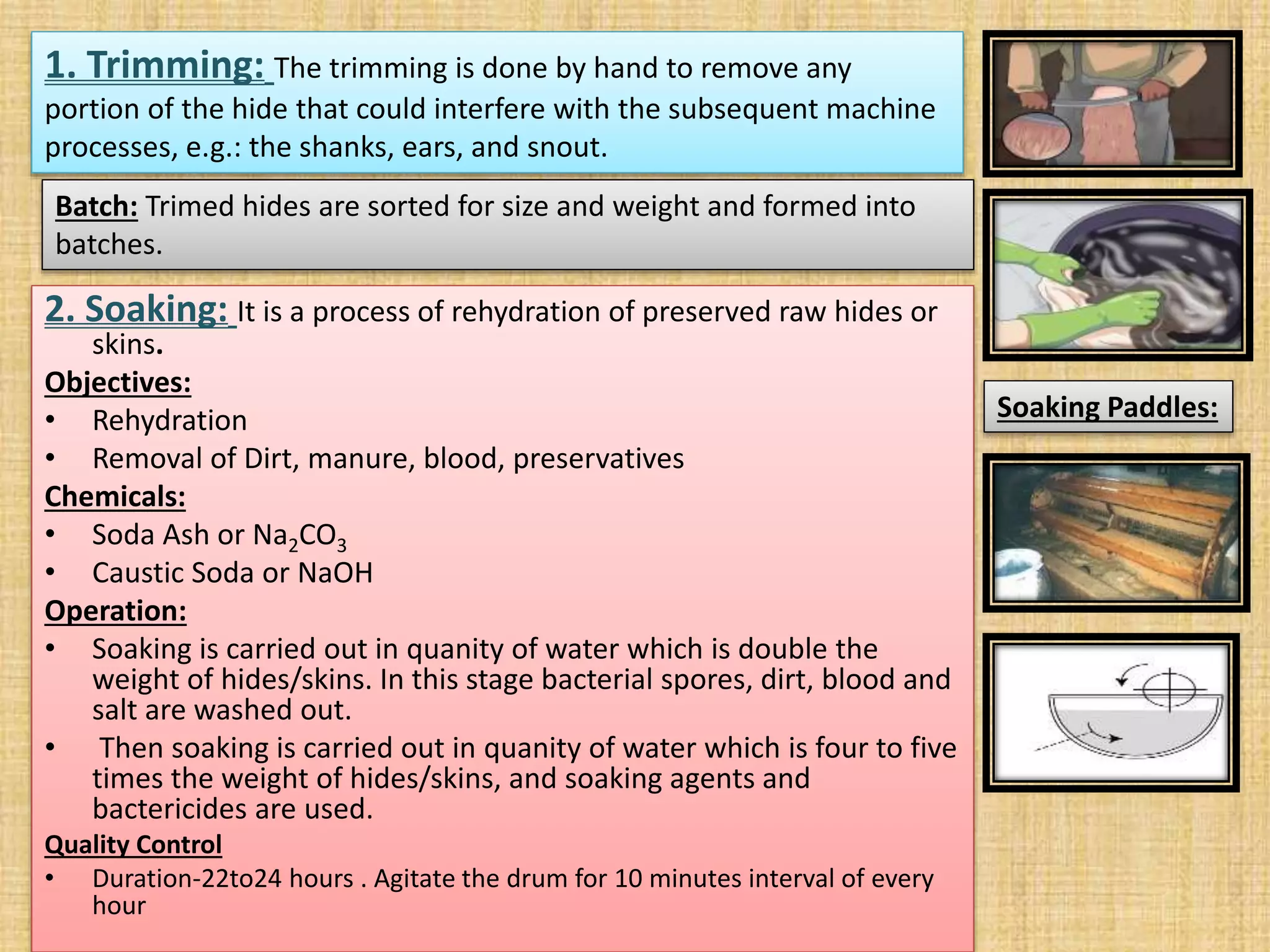 Leather Industry | Applied Chemistry | PPTX