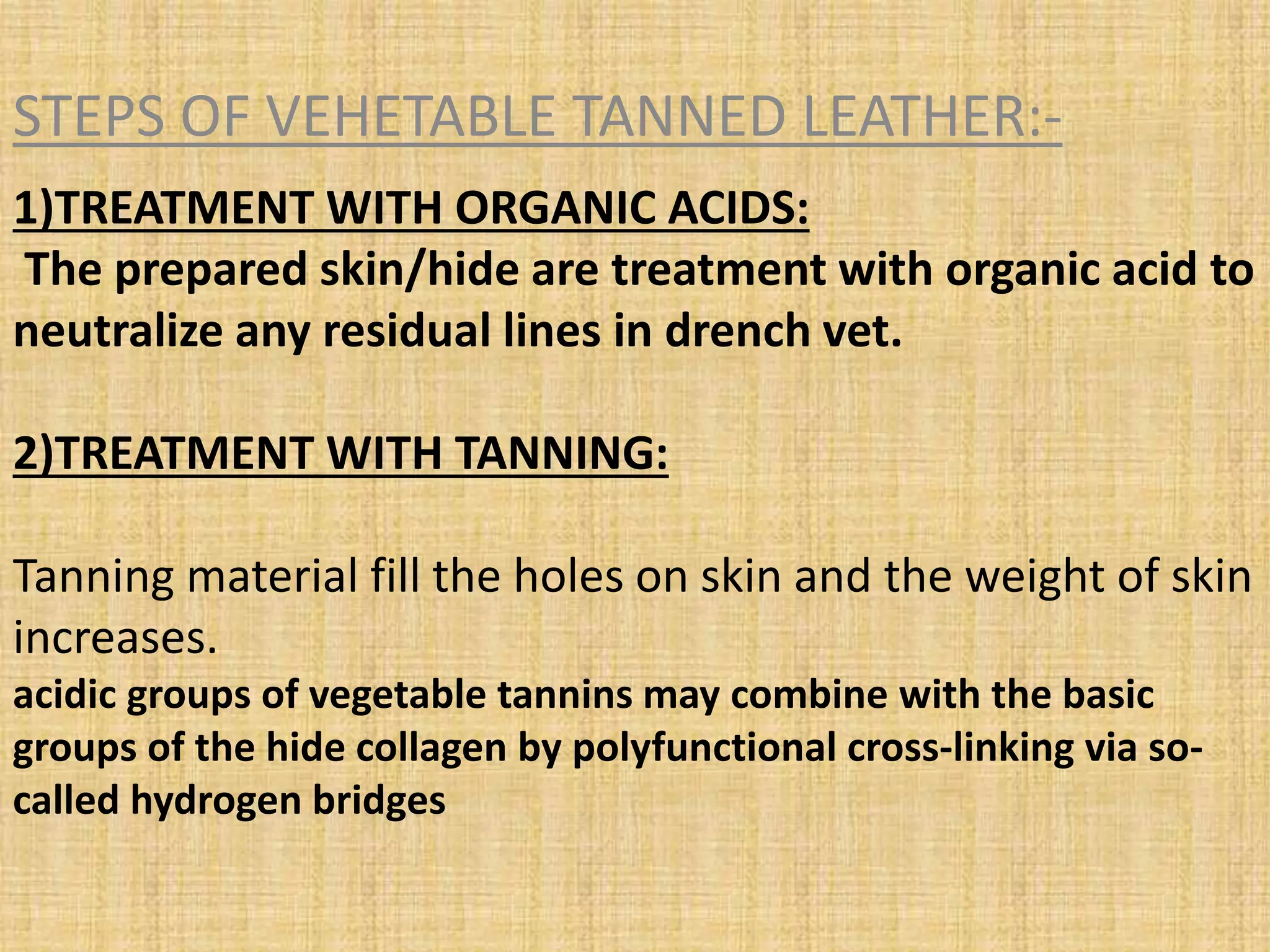Leather Industry | Applied Chemistry | PPTX