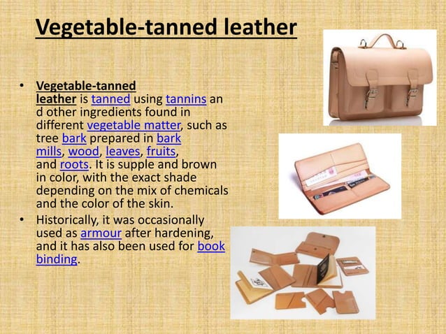 Leather Industry | Applied Chemistry | PPTX | Commodities | Economy