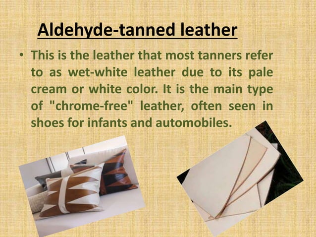 Leather Industry | Applied Chemistry | PPTX | Commodities | Economy