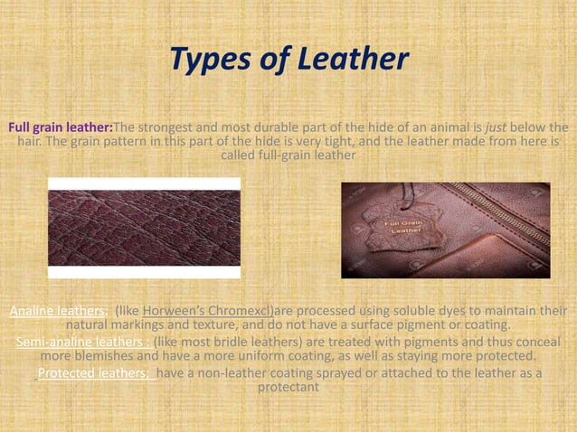 Leather Industry | Applied Chemistry | PPTX | Commodities | Economy
