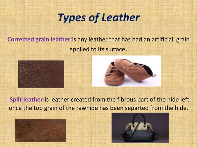 Leather Industry | Applied Chemistry | PPTX | Commodities | Economy